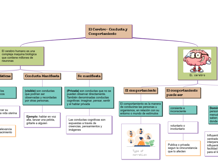 El Cerebro- Conducta y Comportamiento - Mind Map