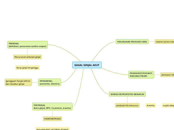 GAGAL GINJAL AKUT - Mind Map
