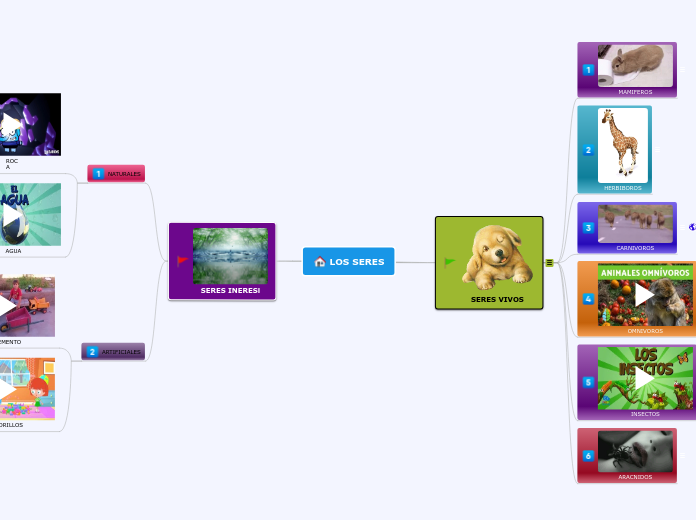 LOS SERES - Mind Map