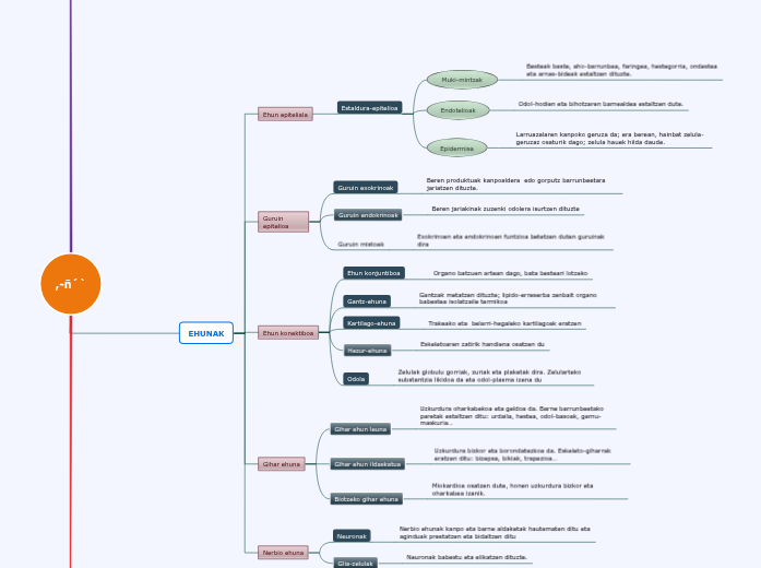 ZELULA - Mind Map