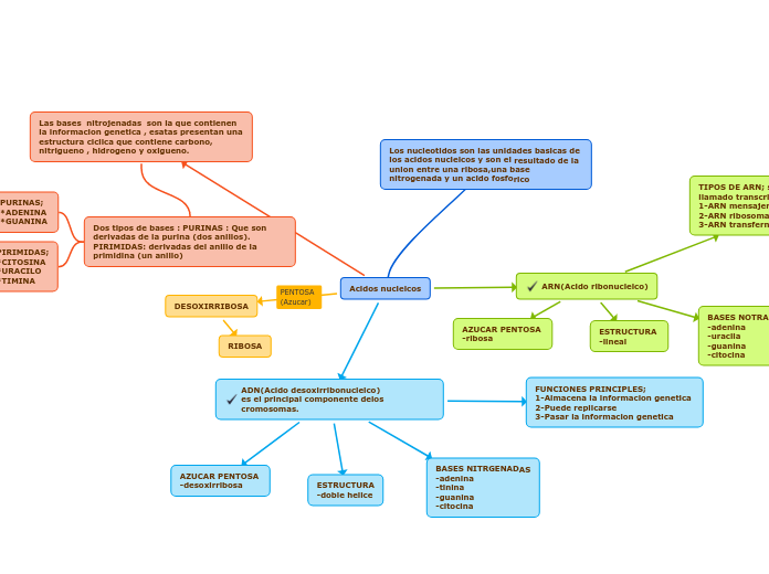 Acidos nucleicos - Mind Map