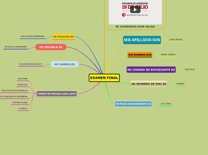 EXAMEN FINAL - Mind Map