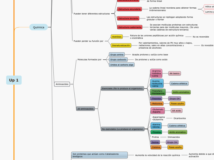 UP 1 CyD - Mind Map