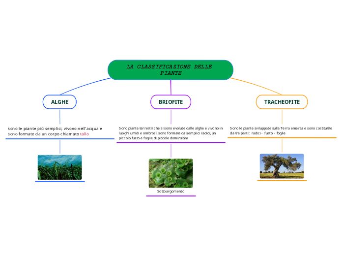 LA CLASSIFICAZIONE DELLE PIANTE - Mind Map