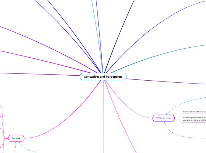 Sensation and Perception - Mind Map