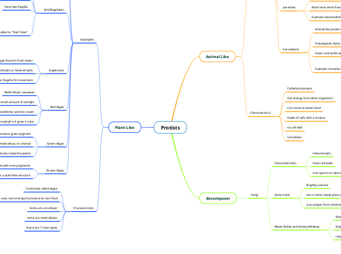 Protists - Mind Map