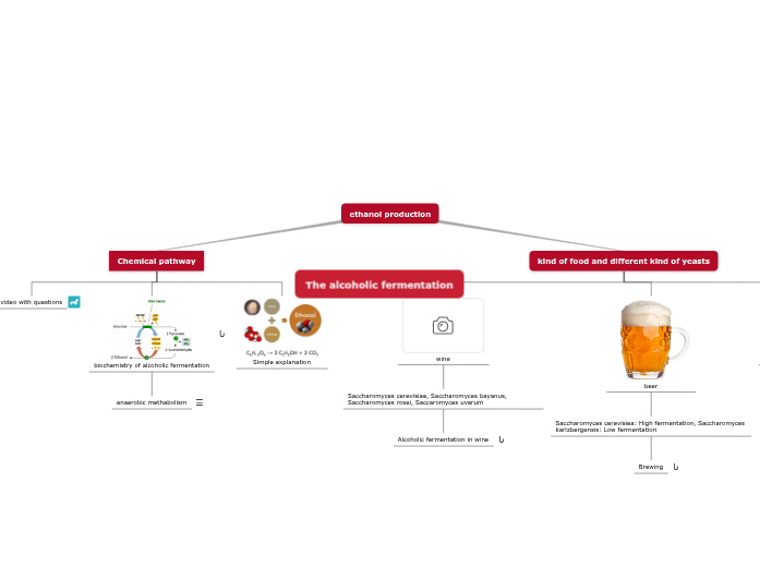 Mindomo exploration - summer task - Mind Map