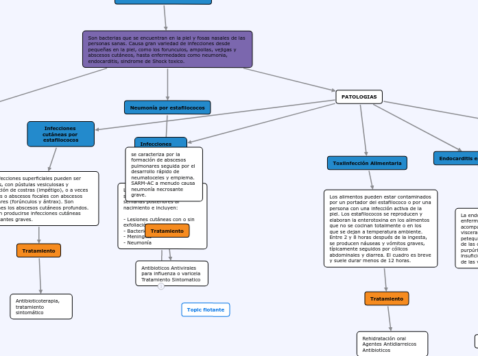 STAPHYLOCOCUS AUREUS - Mind Map