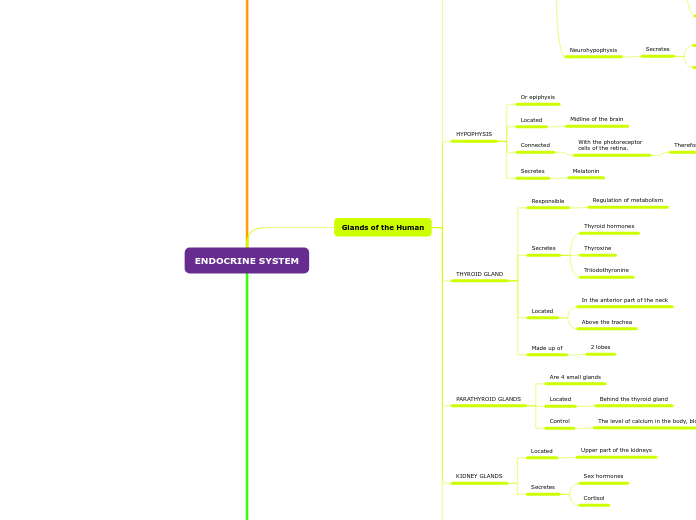 ENDOCRINE SYSTEM - Mind Map