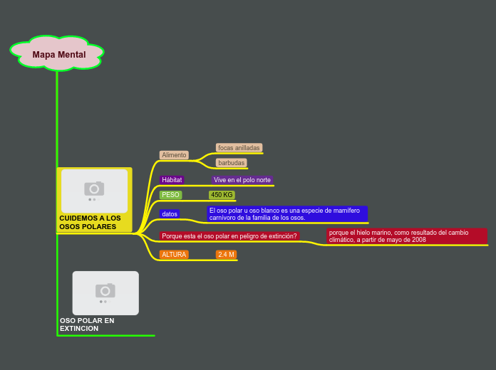Mapa Mental - Mappa Mentale - Schema