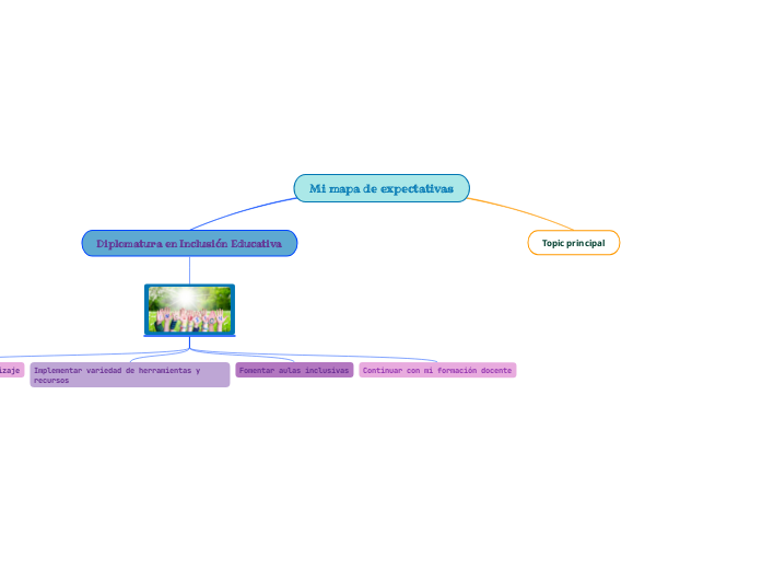 Mi mapa de expectativas - Mind Map