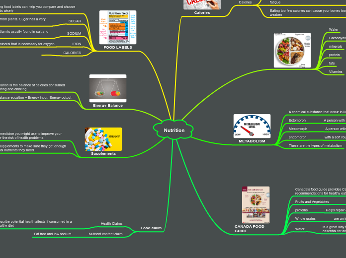 Nutrition - Mind Map