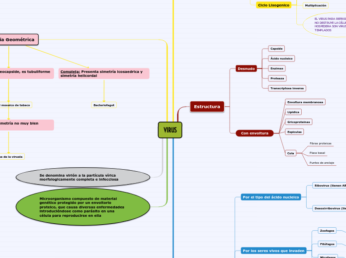 VIRUS - Mind Map