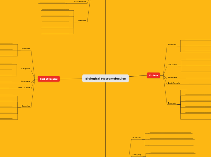 Biological Macromolecules - Mind Map