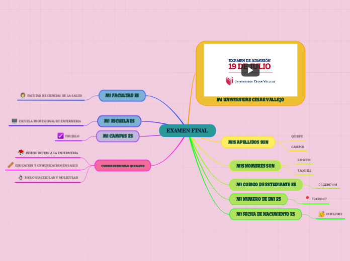 EXAMEN FINAL - Mind Map