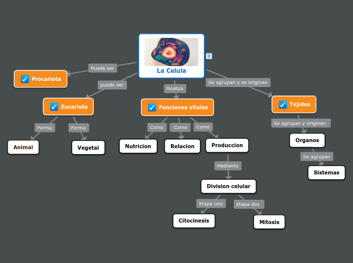 La Celula - Mind Map