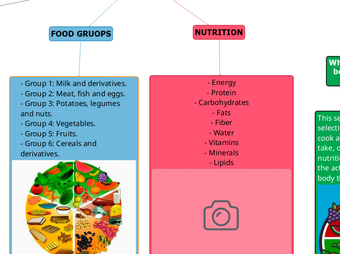 FOOD GROUPS AND NUTRITION - Mind Map