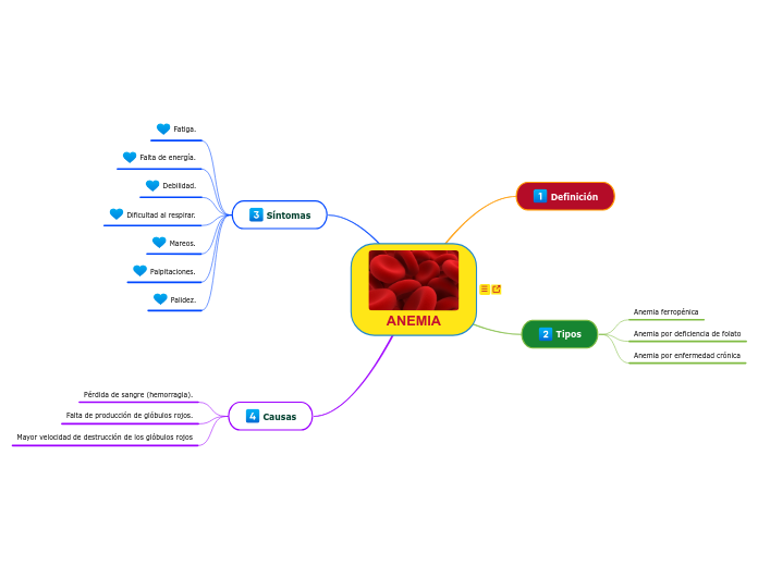 ANEMIA - Mind Map