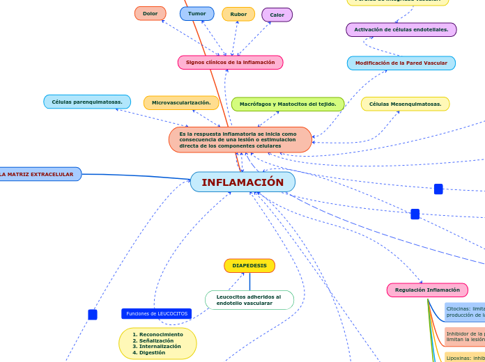 INFLAMACIÓN - Mind Map
