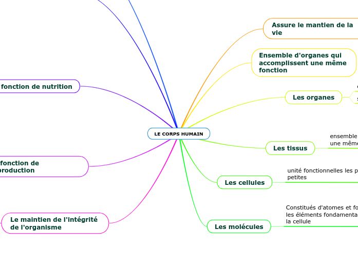 LE CORPS HUMAIN - Mind Map