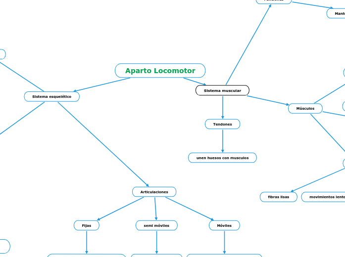 Aparto Locomotor - Mind Map