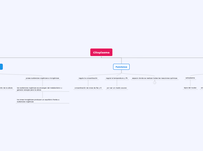 Citoplasma - Mind Map