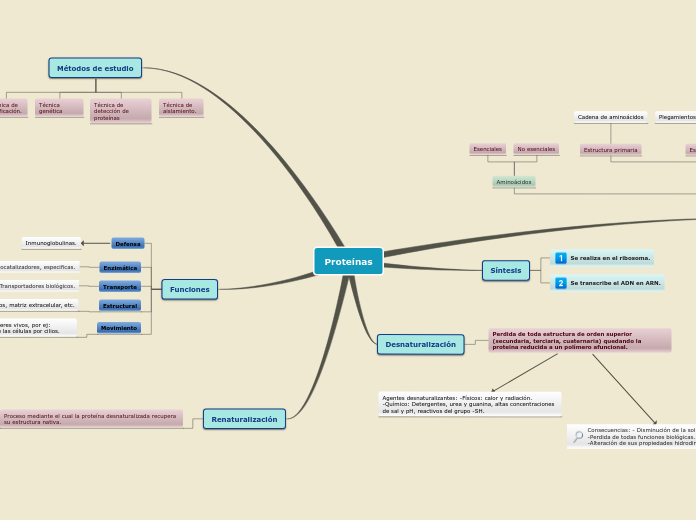 Proteínas - Mind Map