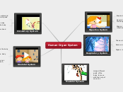 Human Organ System - Mind Map