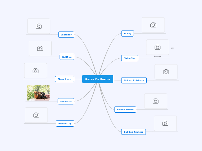 Razas De Perros - Mind Map
