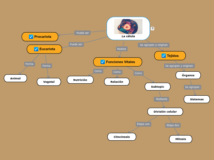 La célula - Mapa Mental - Amostra