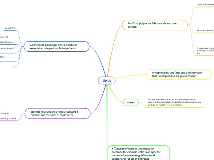 Lipids - Mindmap - Eksempel