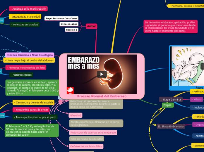 Proceso Normal del Embarazo - Mind Map