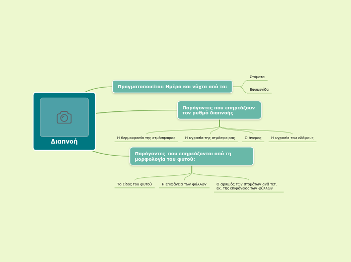 Plant Functions - Mind Map