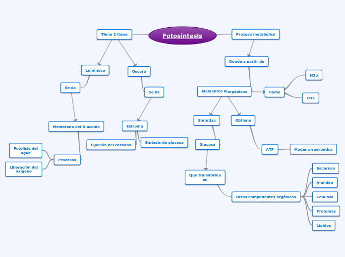 Fotosíntesis - Mind Map