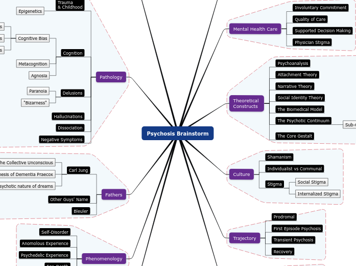 Schizophrenia/Psychosis Outline - Mind Map