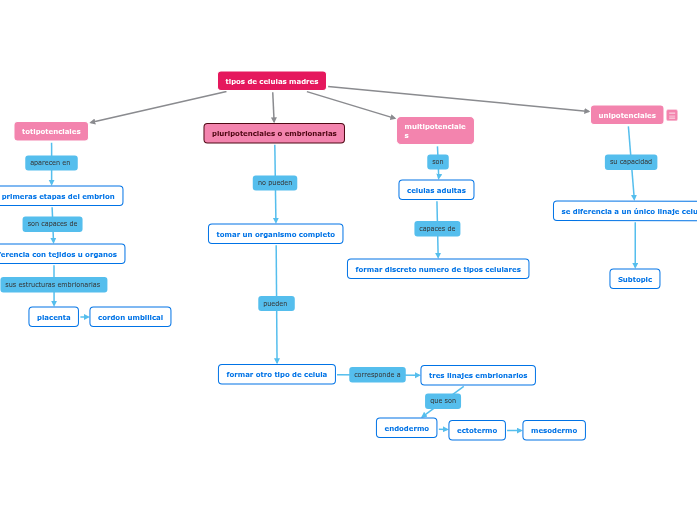 tipos de celulas madres - Mind Map