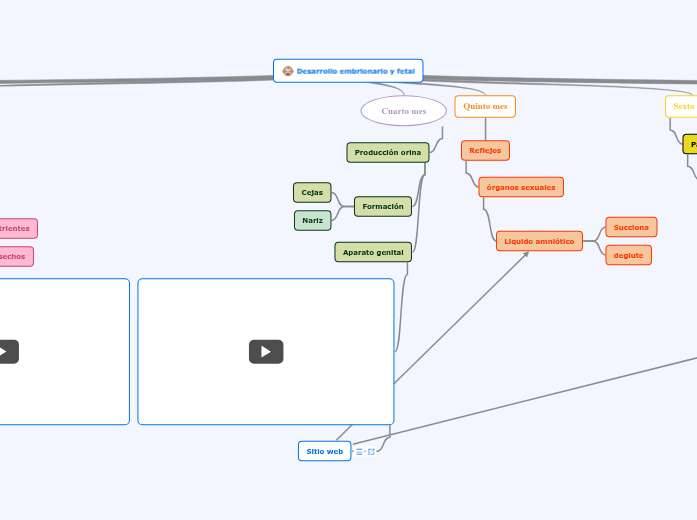 Desarrollo embrionario y fetal - Concept Map