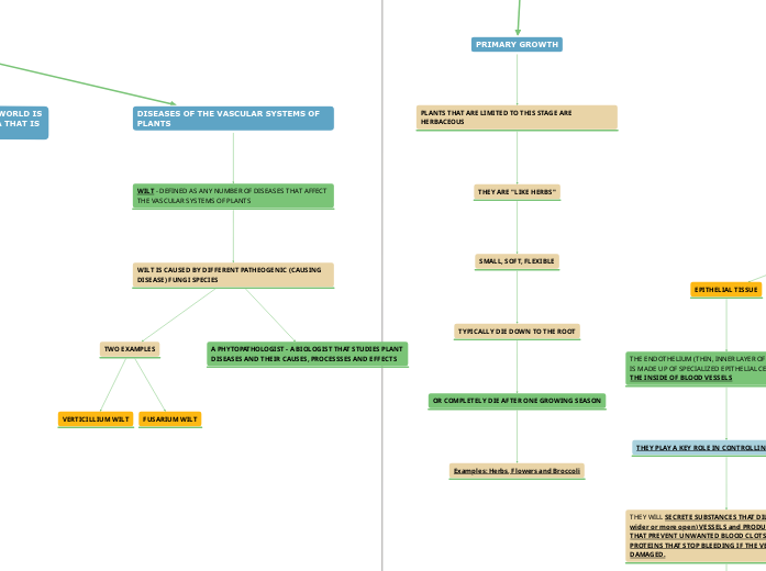 MIND MAP ABOUT LIFE - Mind Map