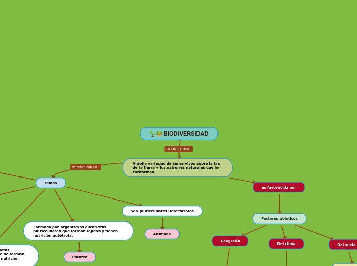 BIODIVERSIDAD - Mind Map