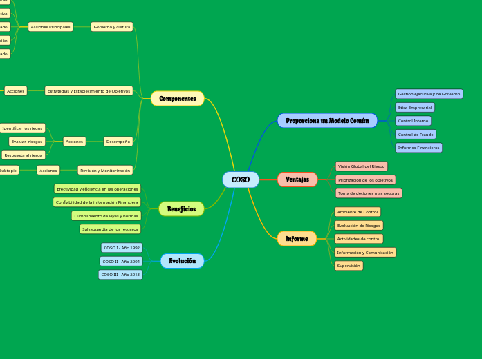 COSO - Mind Map