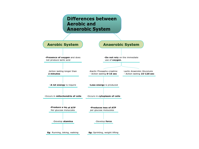Rightwings Aerobic Versus Anaerobic Metabolism