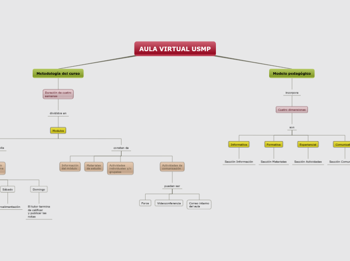 AULA VIRTUAL USMP - Mind Map