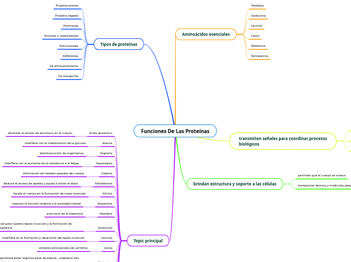 Funciones De Las Proteínas - Mind Map