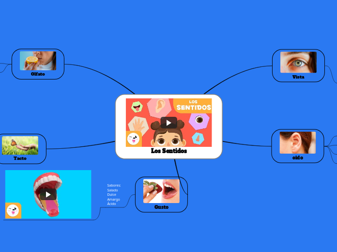 Los Sentidos - Mind Map