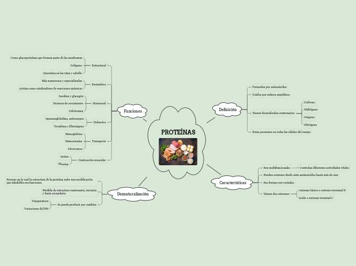 PROTEÍNAS - Mind Map