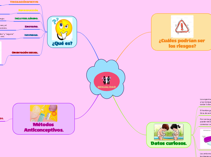 La Sexualidad Mind Map