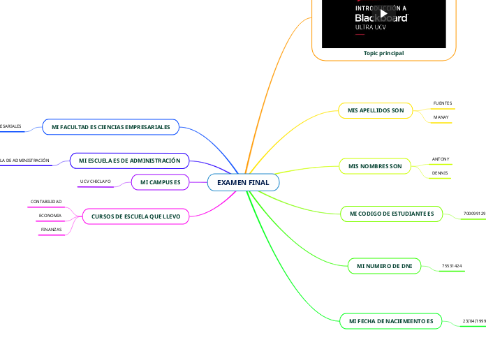 EXAMEN FINAL - Mind Map