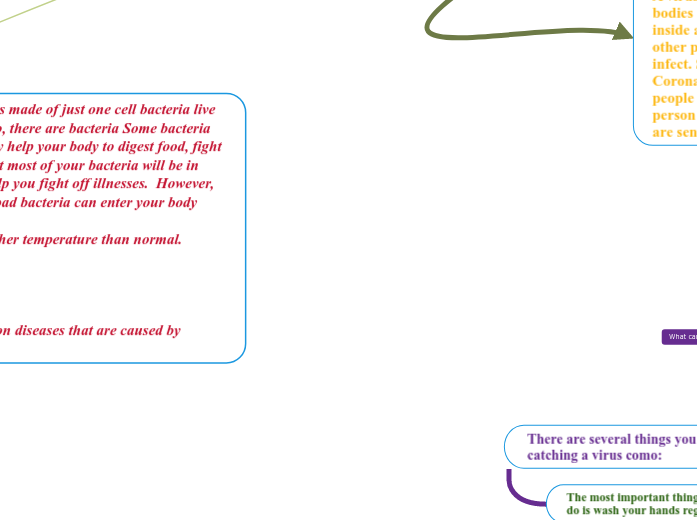 Virus and Bacteria - Mind Map