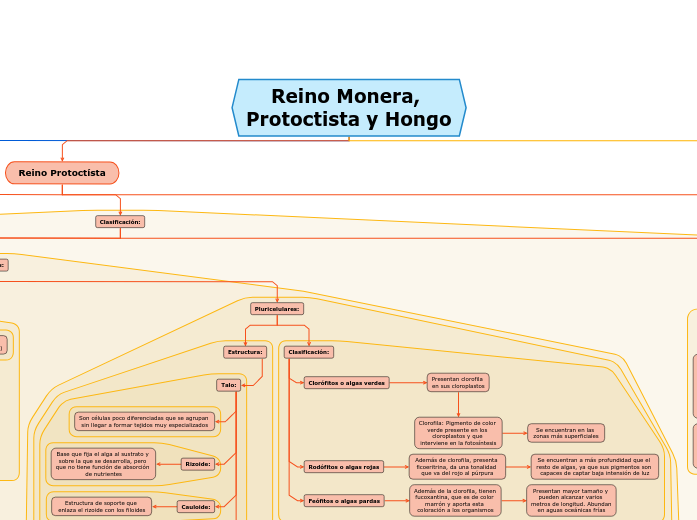 Reino Monera, Protoctista y Hongo - Mind Map