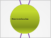 Macromolecules - Mind Map